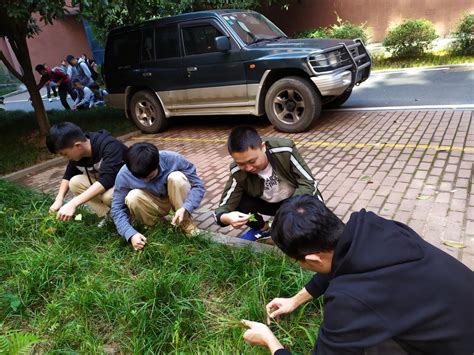 “拔除杂草，美化校园”主题志愿活动 土木工程学院
