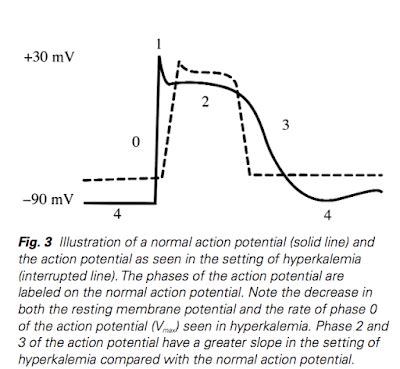 Tutor S Notes General Cardiovascular Respiratory And Renal