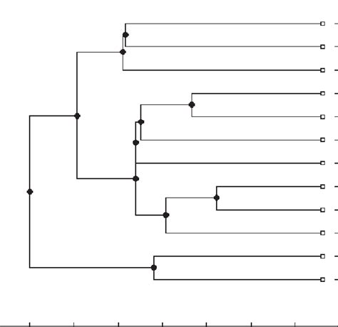 Dendrogram Using Weighted Pair Average Euclidian Distance Cluster