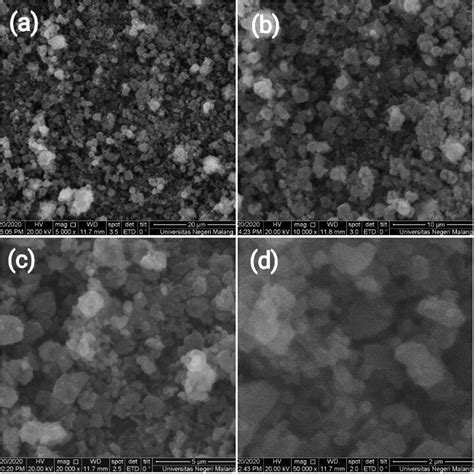 The Results Of The SEM Morphology Of Zeolite X Aging 24 Hours With A