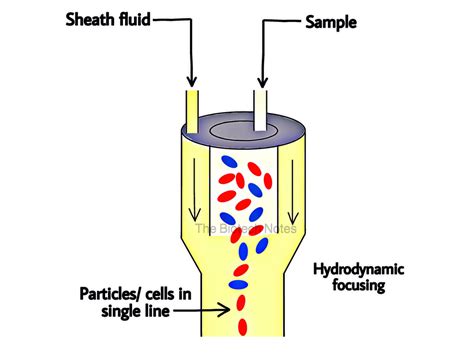 What Can Flow Cytometry Be Used For At Arthur Johnson Blog