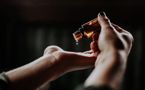 Aceite esencial de árbol del té usos y beneficios en la piel