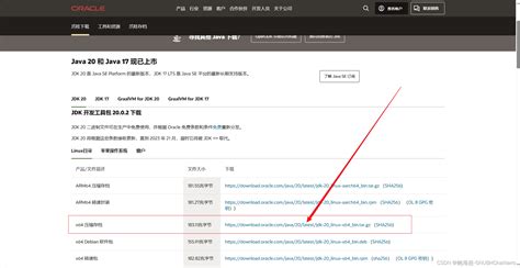 Linux：tomcat （源码包安装）（官网下载 安装 启动 配置 等等等 从入门到入土）tomcat源码包下载 Csdn博客