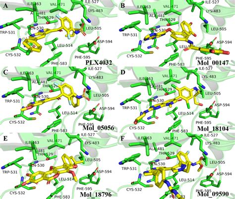 Transformer Based Generative Model Accelerating The Development Of Novel Braf Inhibitors Acs Omega