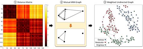 Mutual K NN Graph On The Iris Dataset Download Scientific Diagram