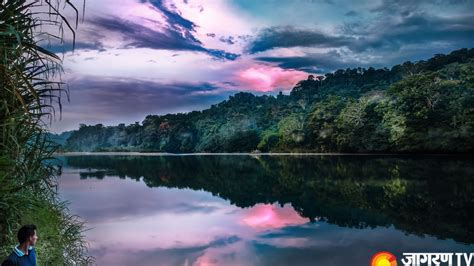World Forestry Day 2025 From Amazon Rainforest To Sundarbans List Of