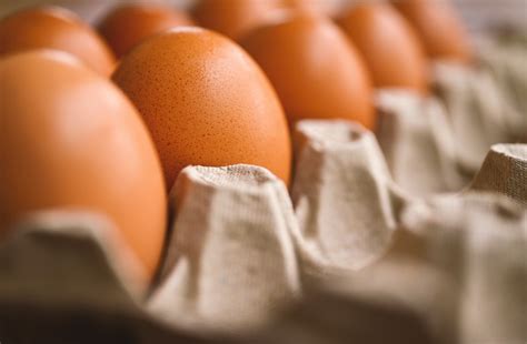 계란 껍질 음식물 쓰레기일까 일반 쓰레기일까