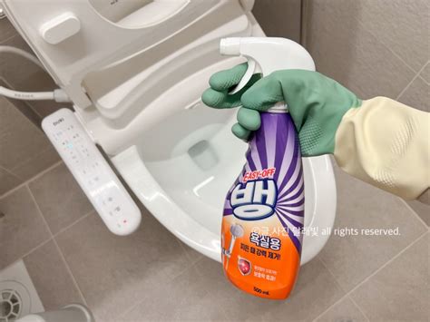 화장실 변기 욕실 곰팡이 제거 제 이지오프뱅 청소방법 네이버 블로그