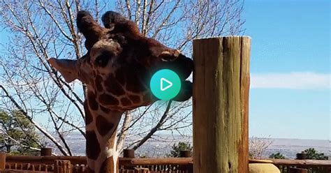 When Imgur Likes A Post On Imgur When Imgur Likes A Post On Imgur