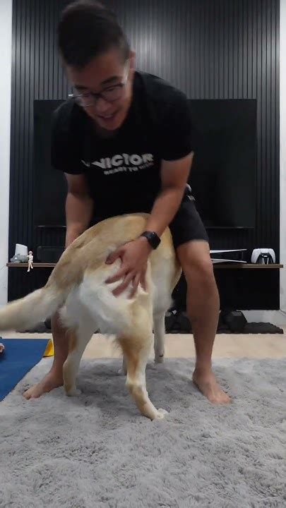 We Tried The Nala Stomp Adventuringwithnala Shorts Youtube