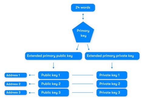 Understanding Seed Phrases Passwords And Private Keys In