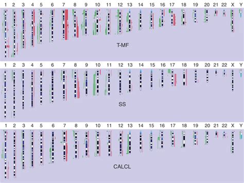 graphical karyotyping representation of bac array profiles using vamp