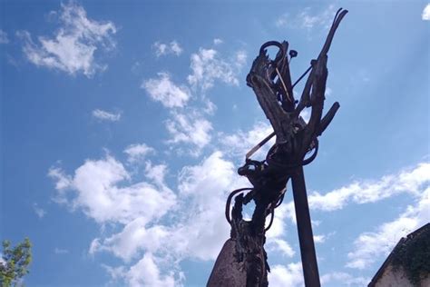 Torquato Tassos Oak Tree In Rome Atlas Obscura