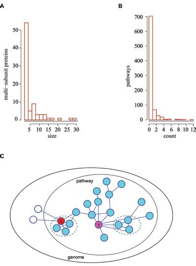 Combination Of Subunit Genes Encoding Multi Subunit Proteins For