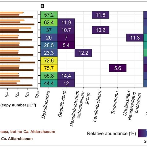 Quantification Of Microbes And Bacterial Community Composition Of Ten