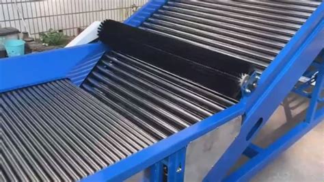 Hgb 8 Garlic Bulb Sorting Machine Best Garlic Machine