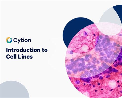 Introduction To Cell Lines