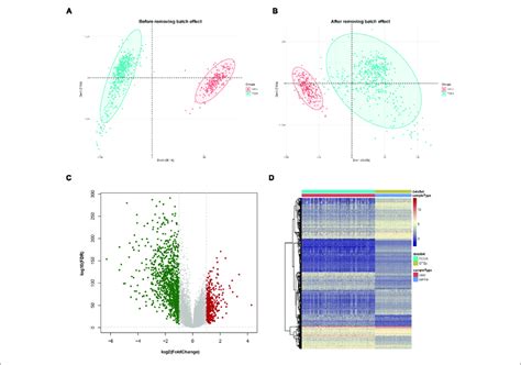 Data Preprocessing And Identification Of Differentially Expressed