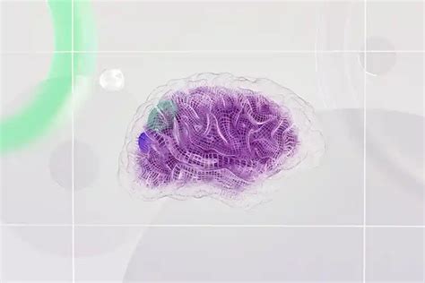 New Test For Early Detection Of Neurodegenerative Diseases Brain