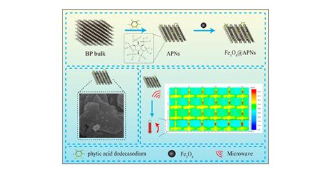 Dielectric And Magnetic Composites Of Fe3o4apns For Superior Microwave
