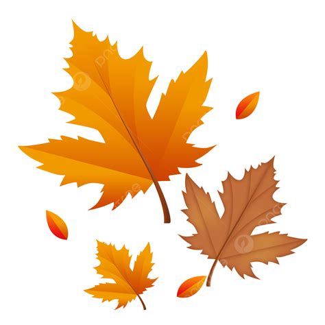 Falling Maple Leaves Animated