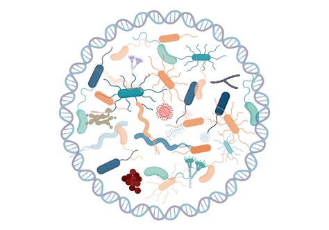 Microbiome Core UTSW Medical Center Sequencing Facility