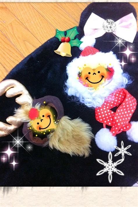 サンタさん★トナカイさん ★ルパン♂日記★