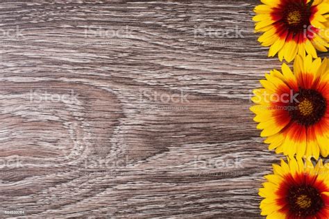 노란 꽃은 나무 배경에 놓여 있습니다 텍스트 및 디자인 공간을 사용할 수 있습니다 갈색에 대한 스톡 사진 및 기타 이미지