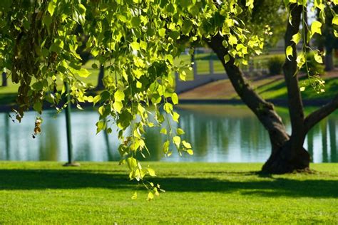 Top 10 Parks To Visit Calgary Jesse Davies Team