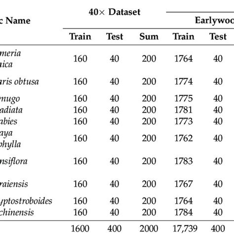 Composition Of Training And Test Dataset With Non Augmentation