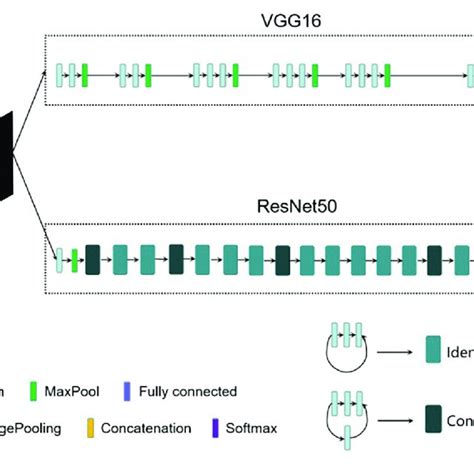 corn seed net network architecture download scientific diagram