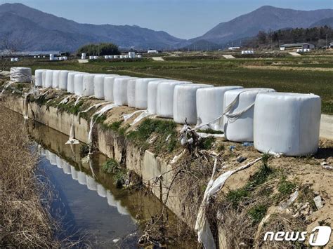 경주서 하차작업 70대 무게 500㎏ 곤포 사일리지 맞아 사망