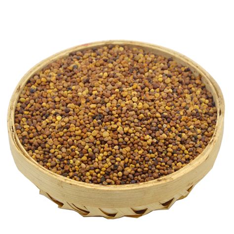 翊圆堂川菟丝子中药材大菟丝子茶兔丝子菟丝子吐丝500g可搭淫羊藿虎窝淘