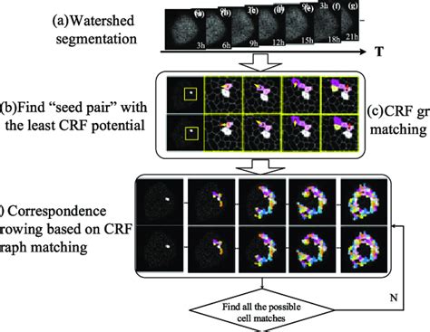 Diagram Of The Proposed Crf Graph Matching Method A Example Of The