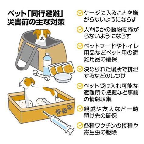 ペットと同行避難、備えあれば 環境省、飼い主向け指針公表 Sippoシッポ 指針 ペット 犬