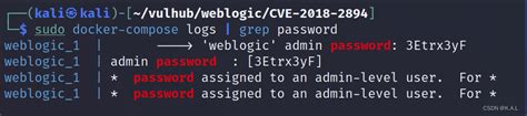Cve Csdn