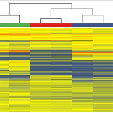 Heat Map Of DEGs Identified From Different Density Groups This Figure