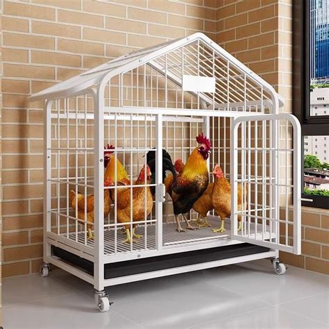 特惠 《限時下殺》鷄籠子傢用 大號養殖籠 鷄捨 鷄窩 自動清糞鴨籠 鐵絲網 陽臺戶外傢禽籠 狗柵欄 貓籠 兔籠 狗別墅 蝦皮購物