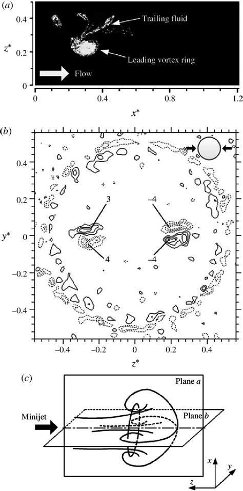 A Photographs Of Typical Minijet Flow Structures From Flow