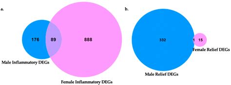 Figure 9 From Rna Seq Reveals Sex Differences In Gene Expression During