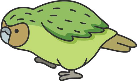 Kakapo Parrot Vector Illustration In Doodle Style On White Background 40309197 Vector Art At