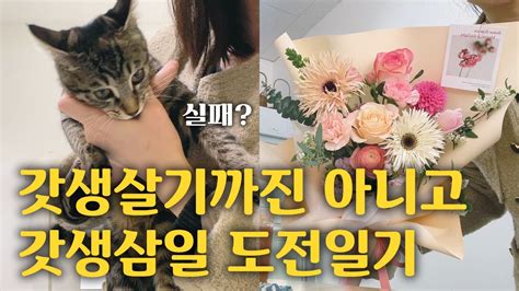 Vlog 꽃집 1인샵 사장 브이로그 갓생살기 솔직히 못하겠어요 갓생삼일만 해볼게요 꽃다발 꽃바구니 제작 영어필사 부의