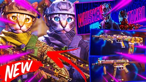 New Whisker Tango Bundle Youtube