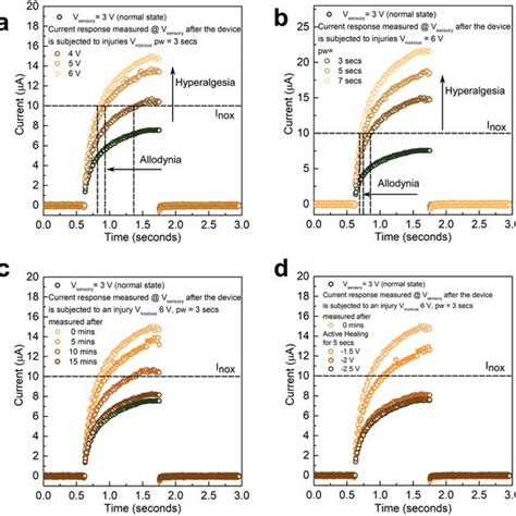 Nociceptive Signal Processing Working Principle Of Biological