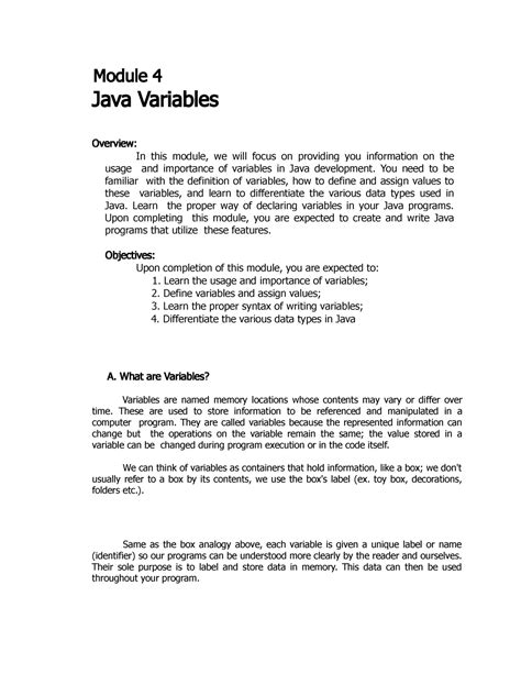 Java Variables In This Module We Will Focus On Providing You