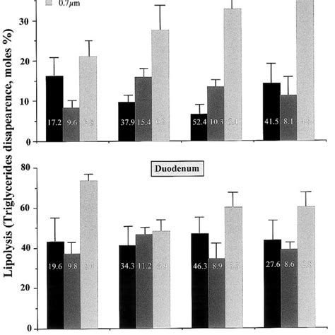 Rate Of Triglyceride Lipolysis Of Different Lipid Droplet Size