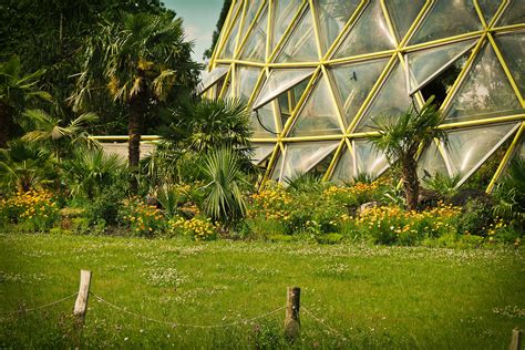 Free Images Landscape Tree Nature Grass Architecture Plant