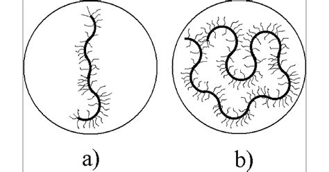 Snaky Conformations Of Strongly Adsorbed 2d Comblike Macromolecules Macromolecules