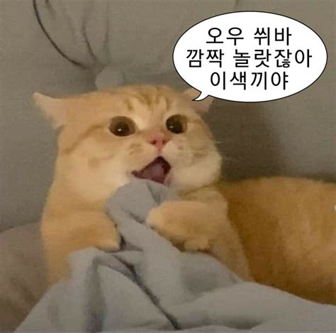 심심해서 만들어봄ㅁ 2024 웃긴 밈 귀여운 사랑 귀여운 사랑 밈