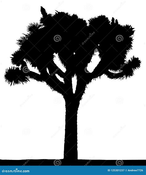 Joshua Tree Vector Isolated On White Background Royalty Free Stock